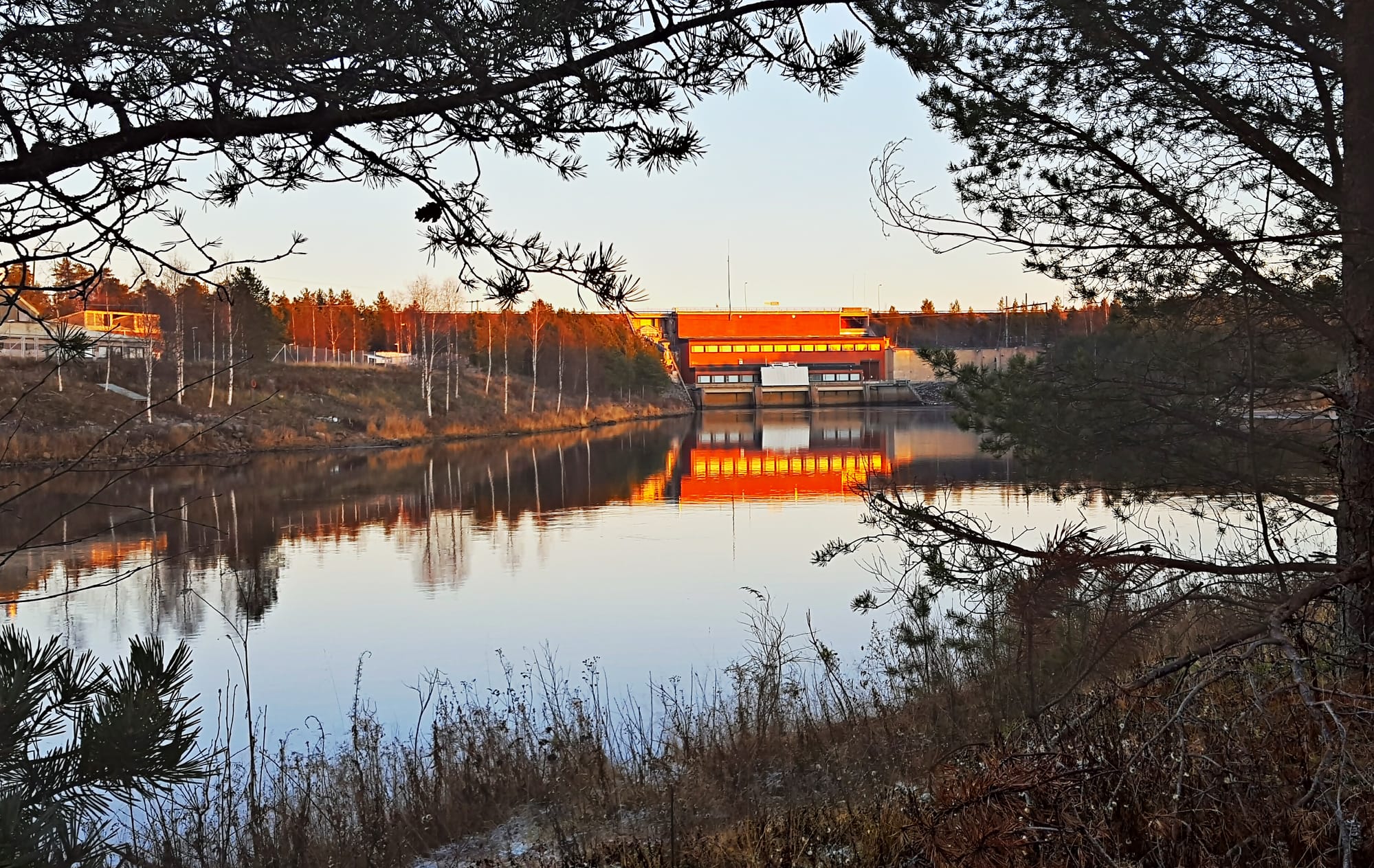 Rasvaevällisten taimenten ja lohien pyynti Iijoella kiellettiin ...