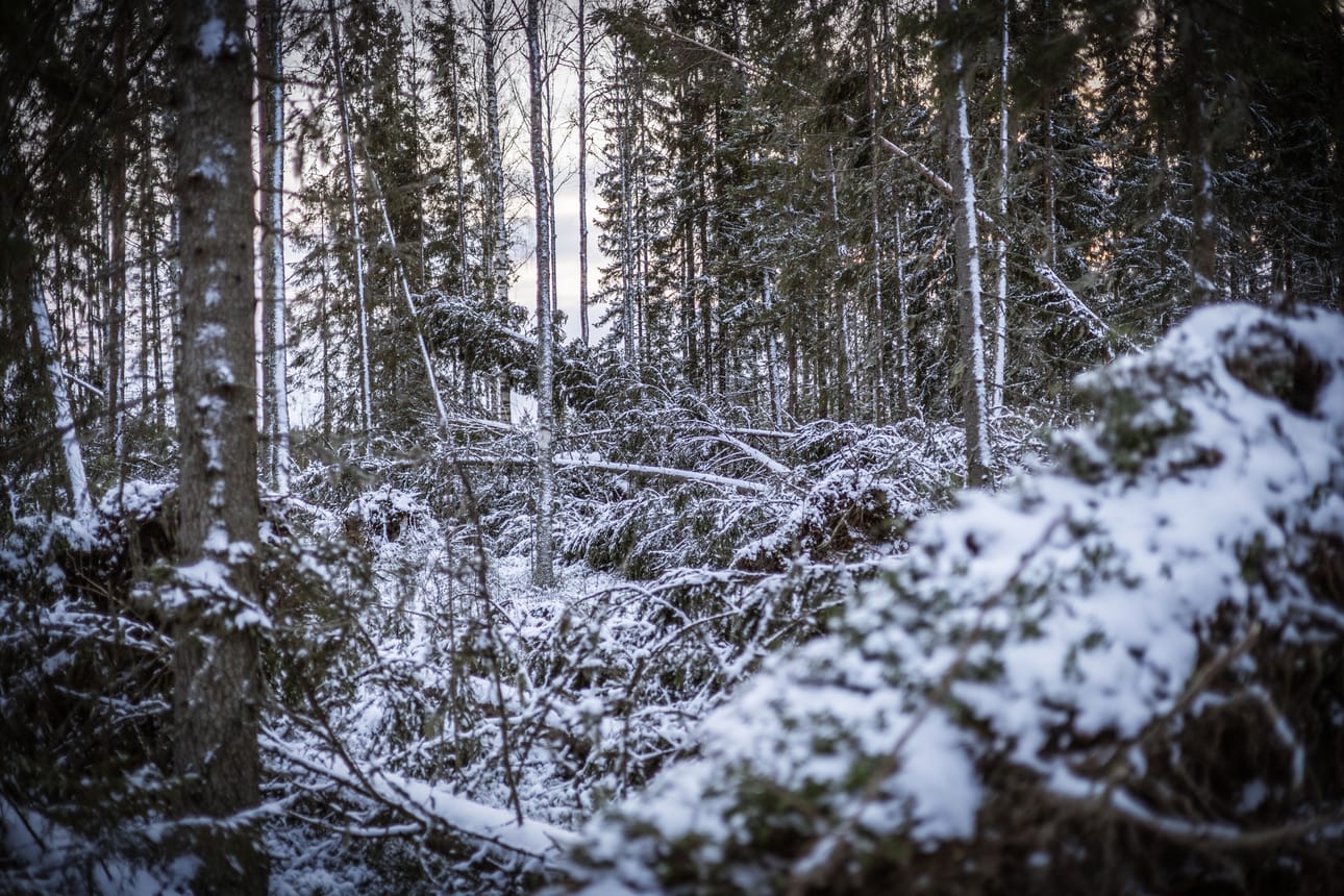 "Voidaan puhua katastrofista" – Ensiarviot Etelä-Pohjanmaan ...