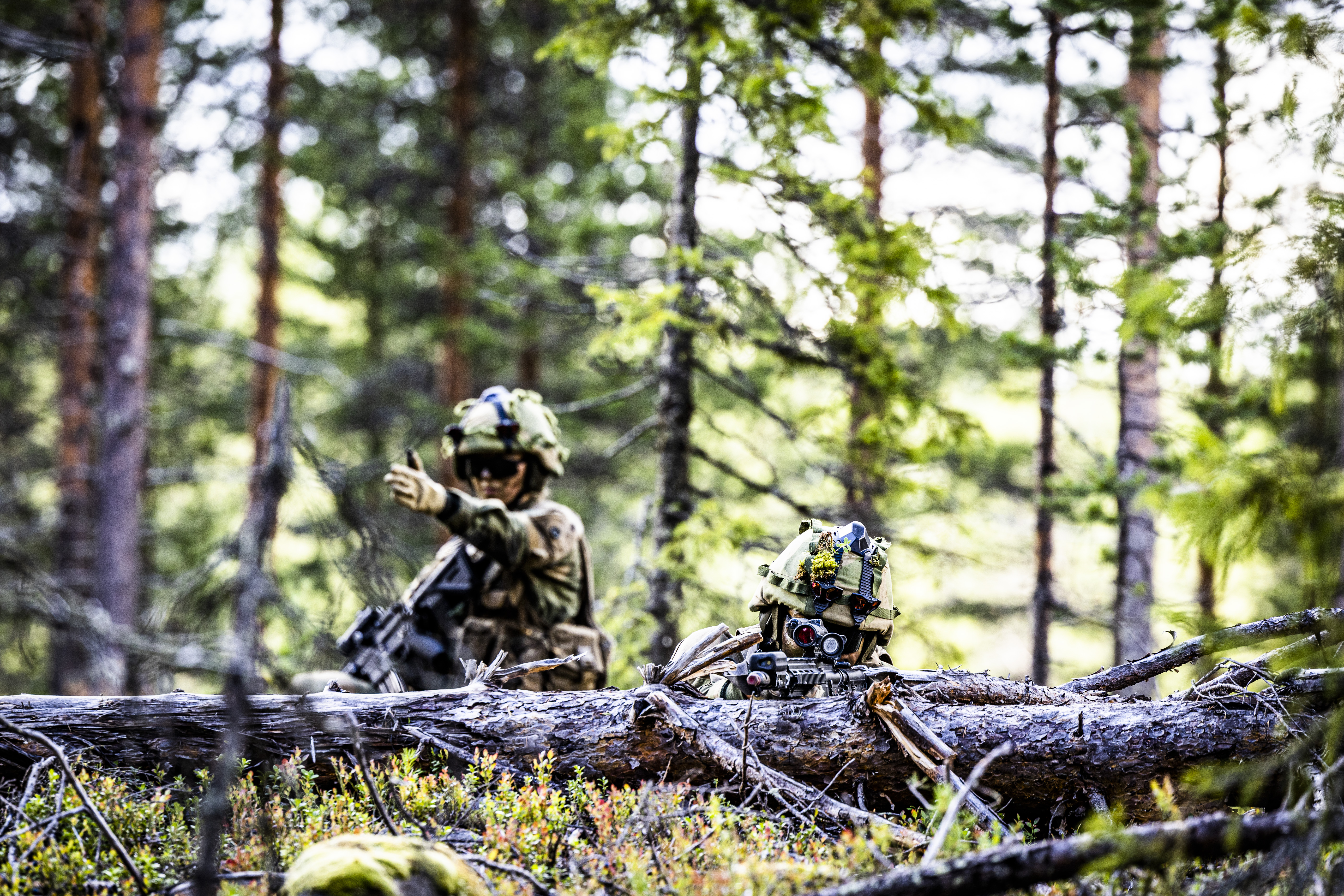 Suuri kansainvälinen Northern Forest 24 -sotaharjoitus käynnistyy ...