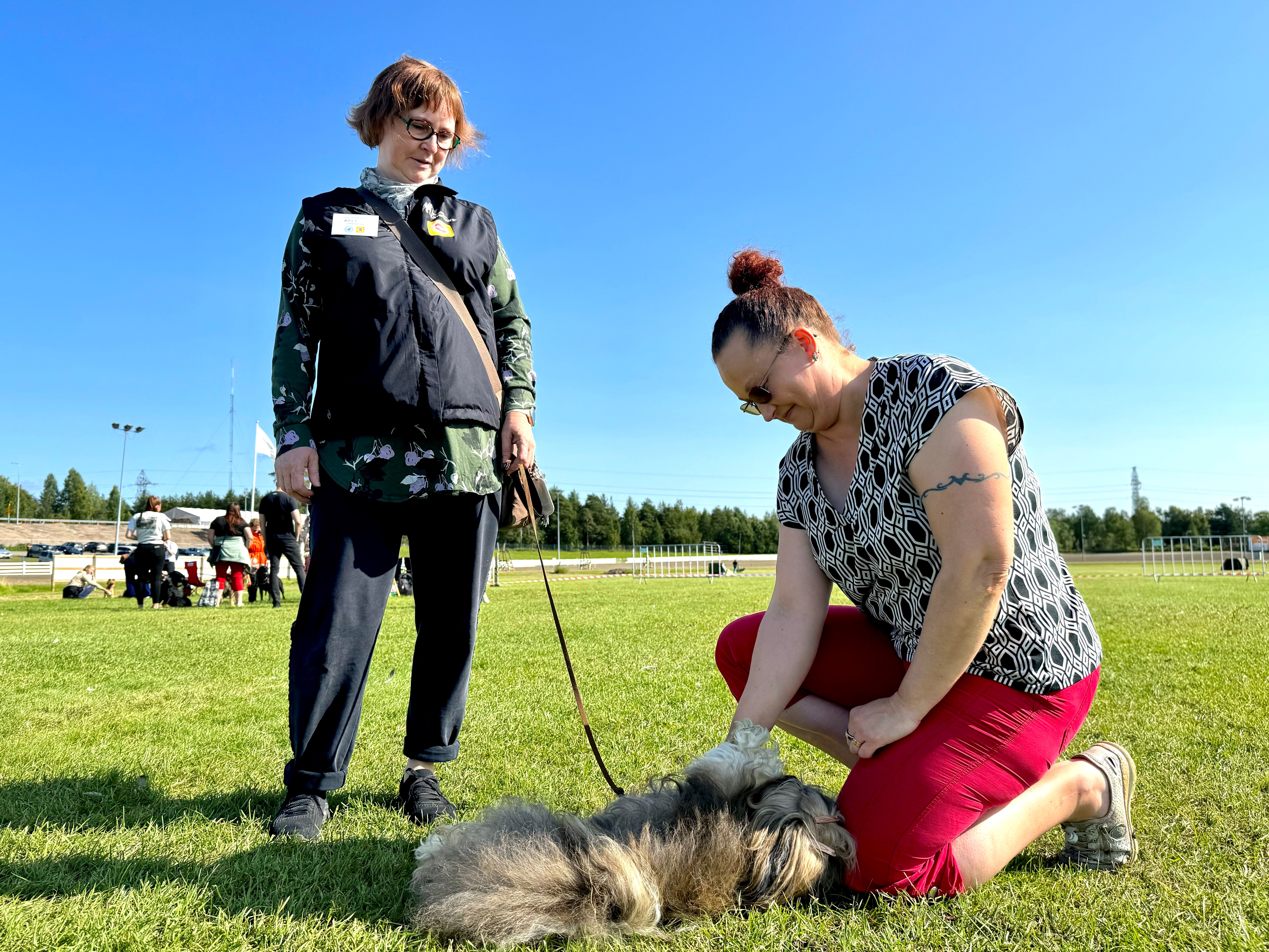 Kaverikoirat käyvät ilahduttamassa ihmisiä, ja joskus niillä on ...