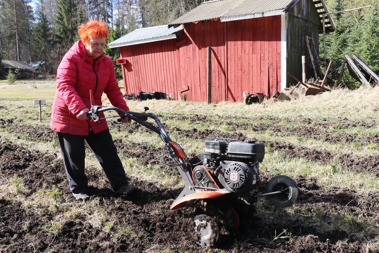 Kaunis piha voi syntyä pikkurahalla – alajärveläinen puutarhuri ...