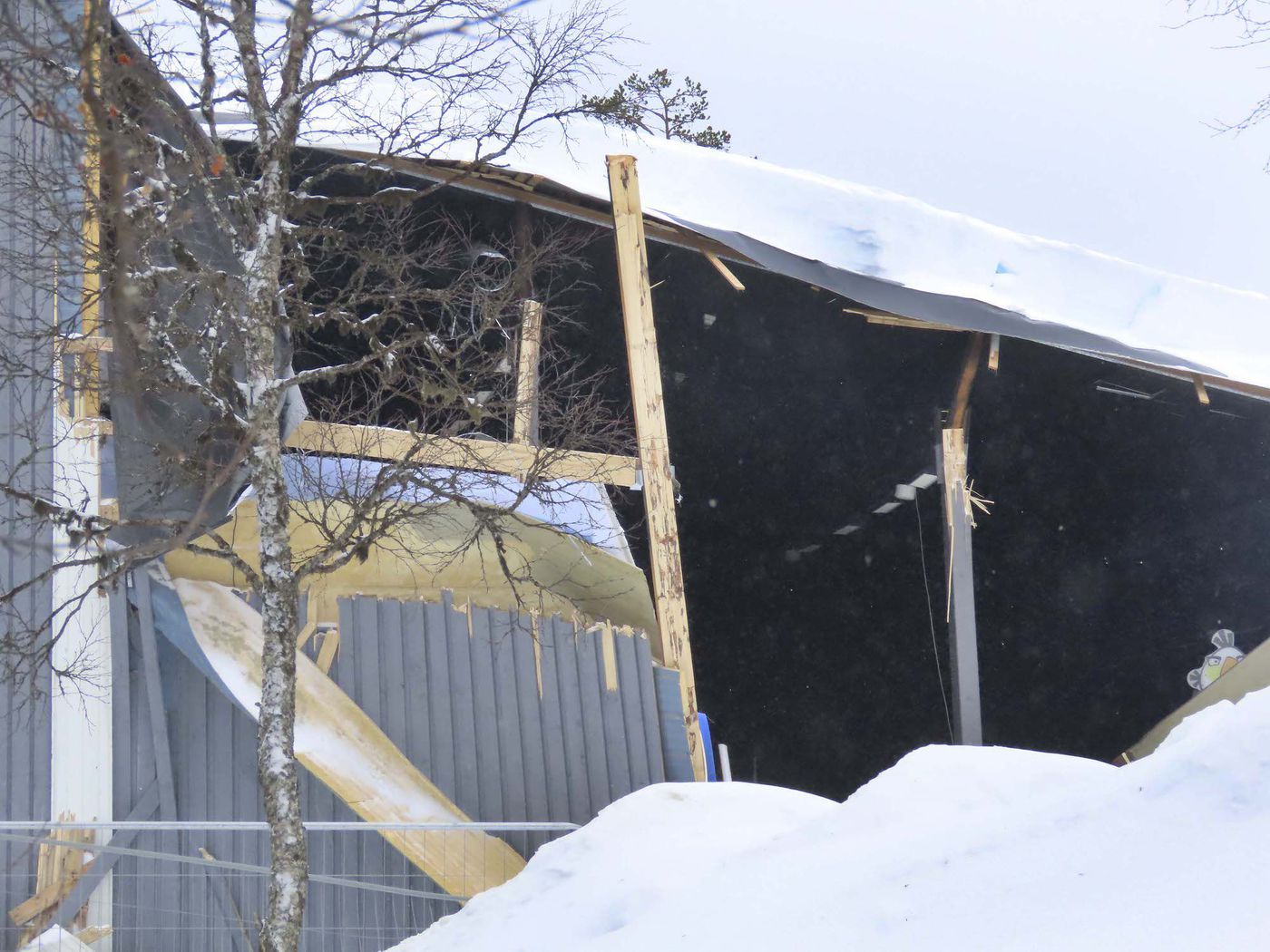 Saa­ri­se­län Angry Birds -ak­ti­vi­teet­ti­puis­ton seinä ja katto ro ...