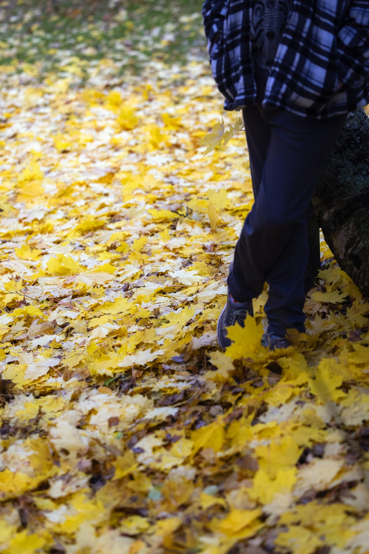 Rakkaus toi Jordin Suomeen – Sitten koitti pimeä vuodenaika | Ilkka ...