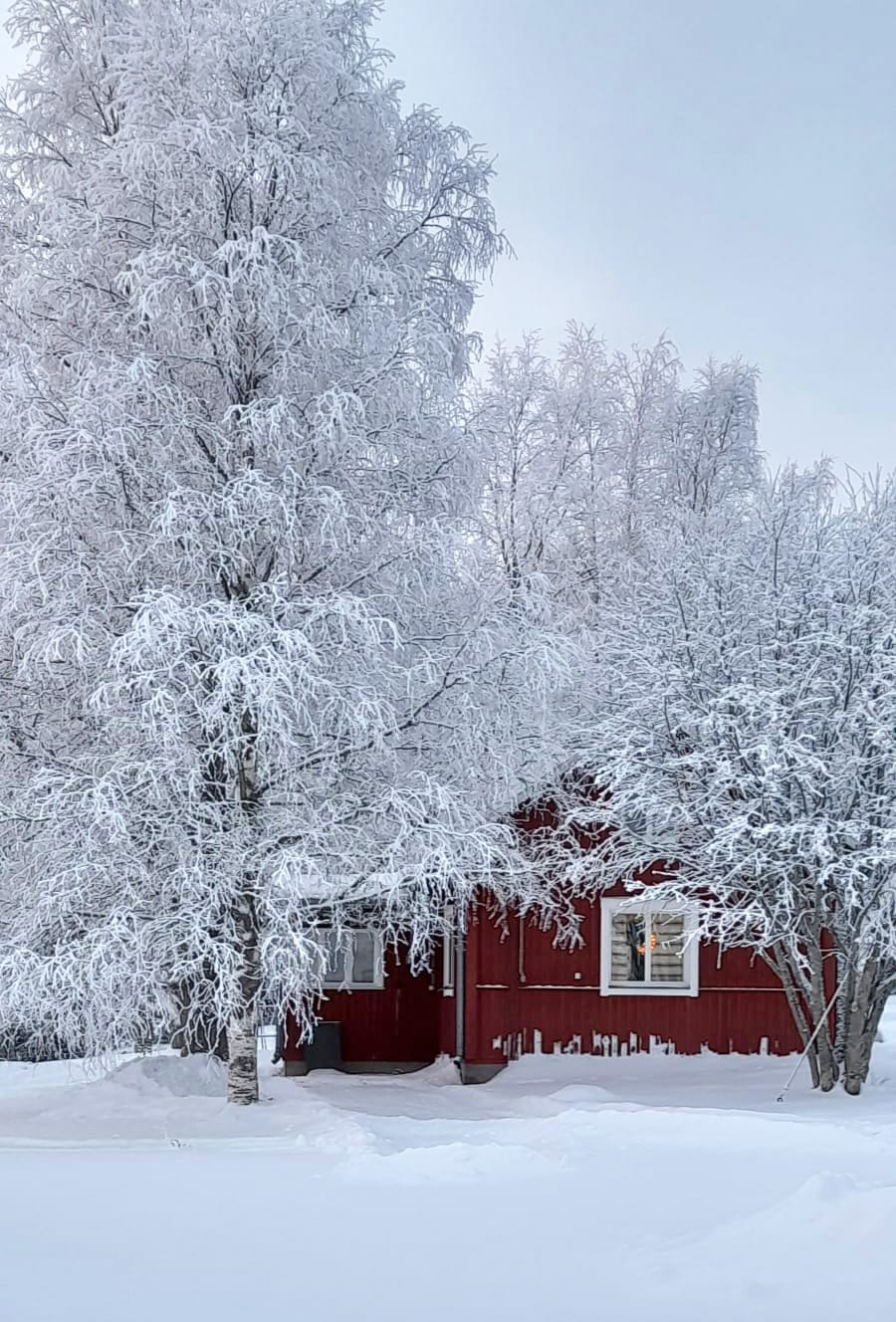 Talven kylmimmät päivät käsillä? Meteorologi Antti Jylhä-Ollila kertoo ...