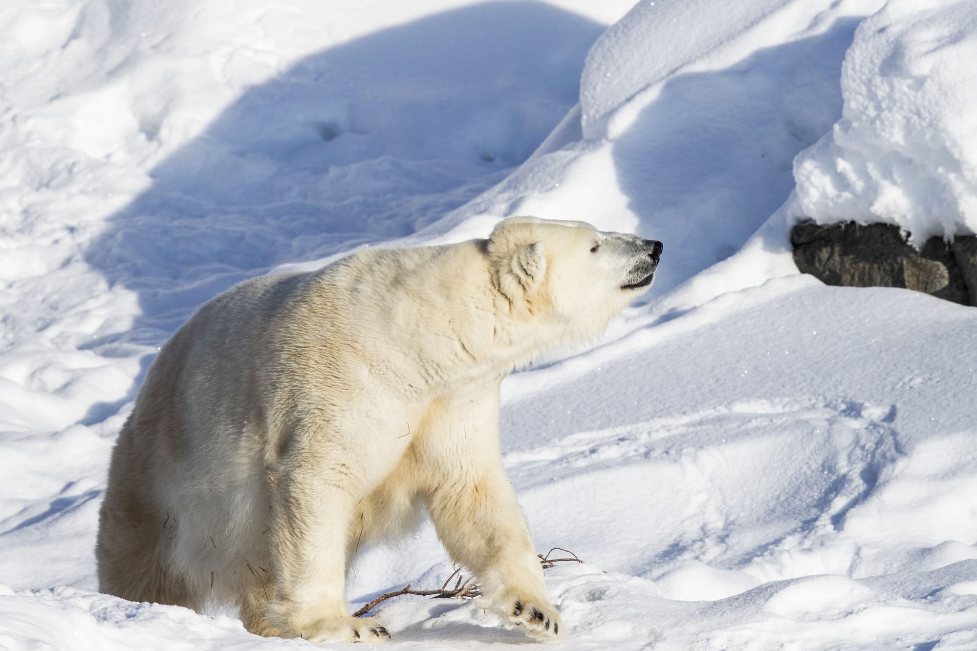 Koululuokat kutsutaan kilpailemaan luontotaiteella – palkintona retki ...