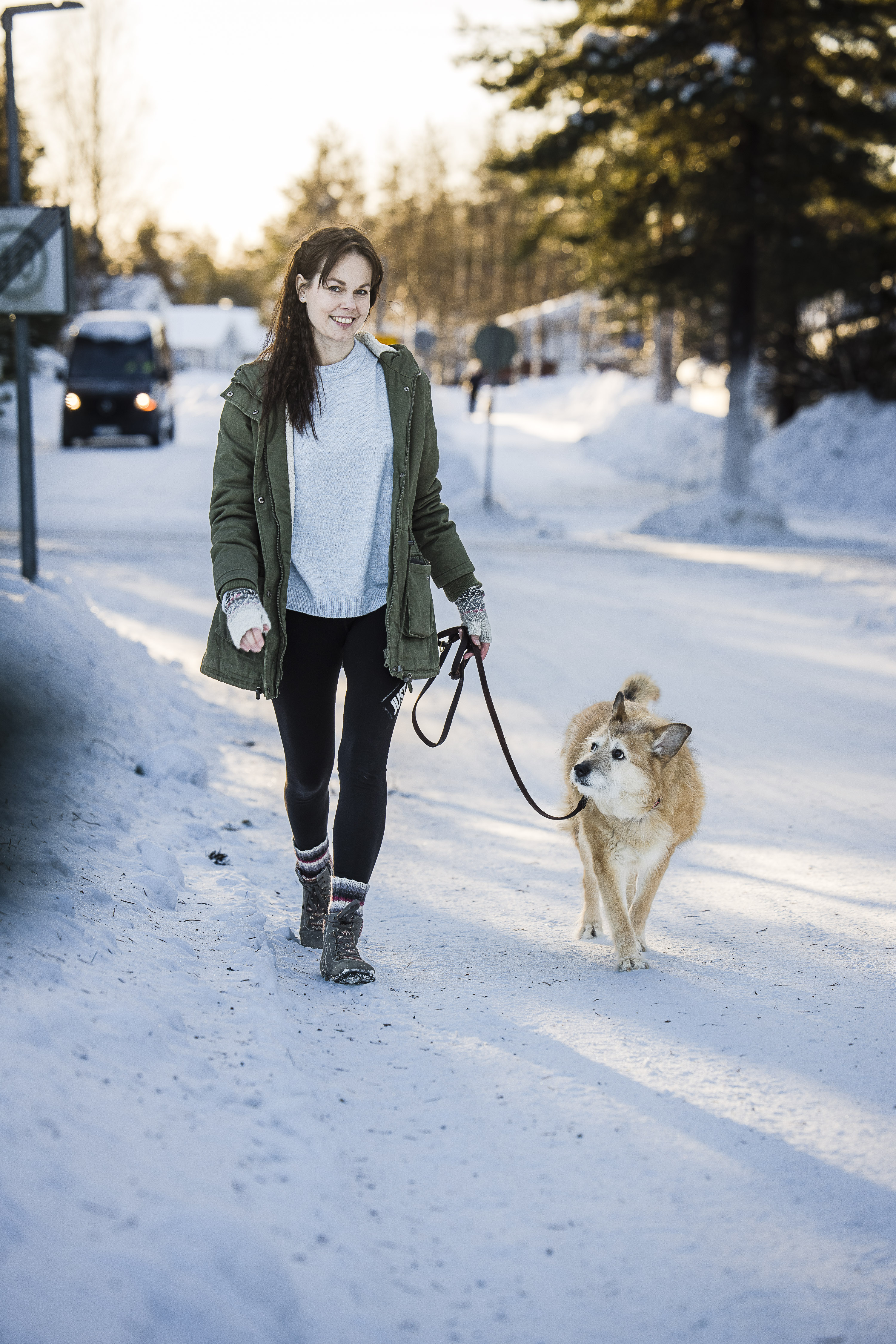 Rovaniemi on koirien kaupunki, jossa suositaan monirotuisuutta ...