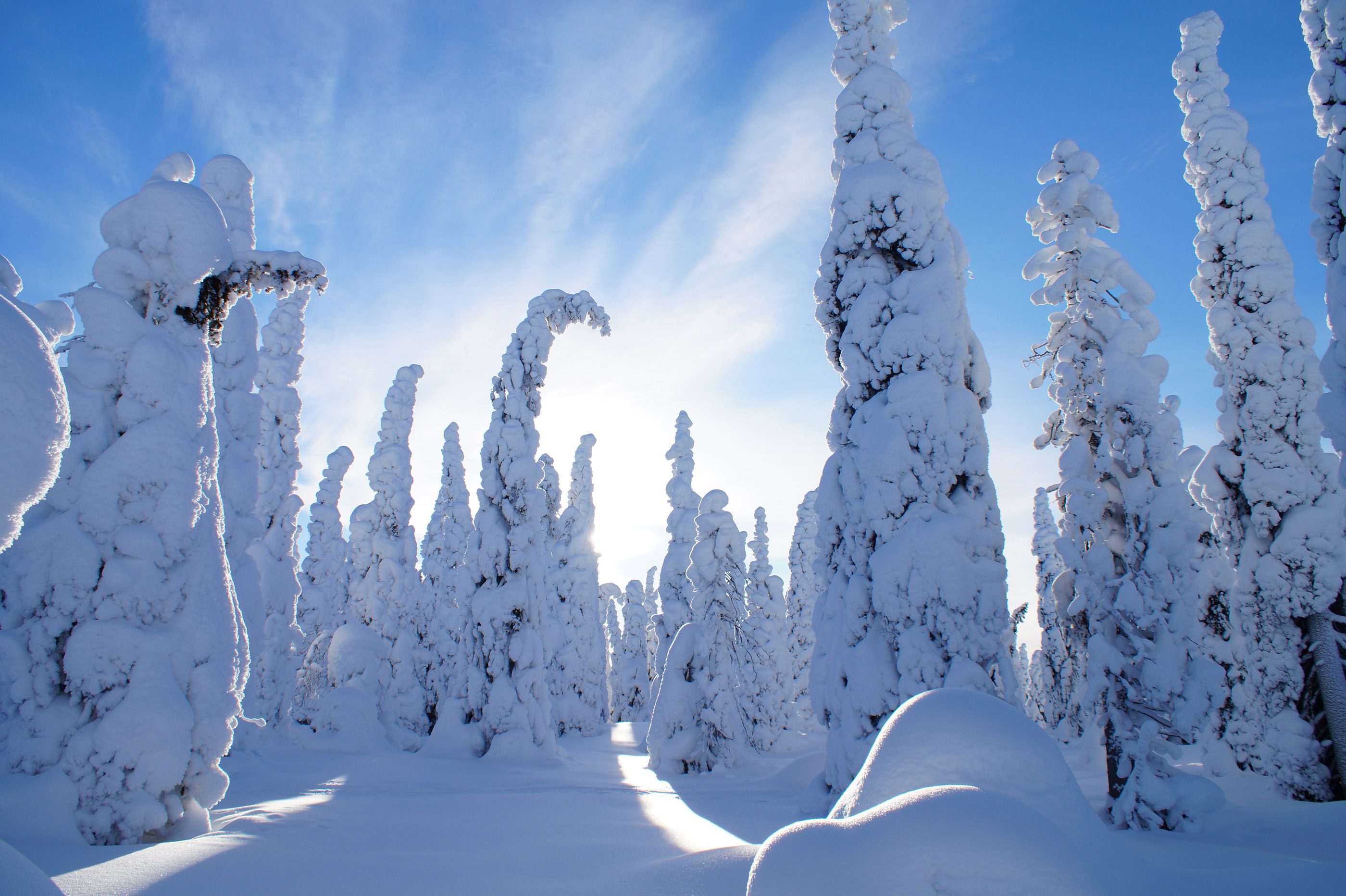 Luminen talvi ja helteinen kesä viime vuoden erikoisuudet – metri lunta ...
