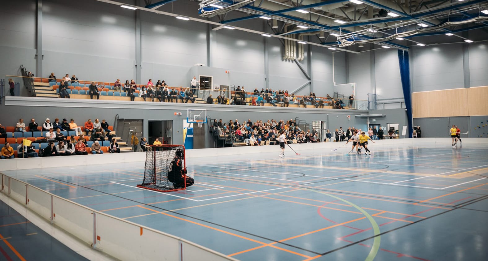 Wisan salibandyssa puhaltavat myötätuulet – ensi kaudella aloittaa miesten joukkue ja naisten ...