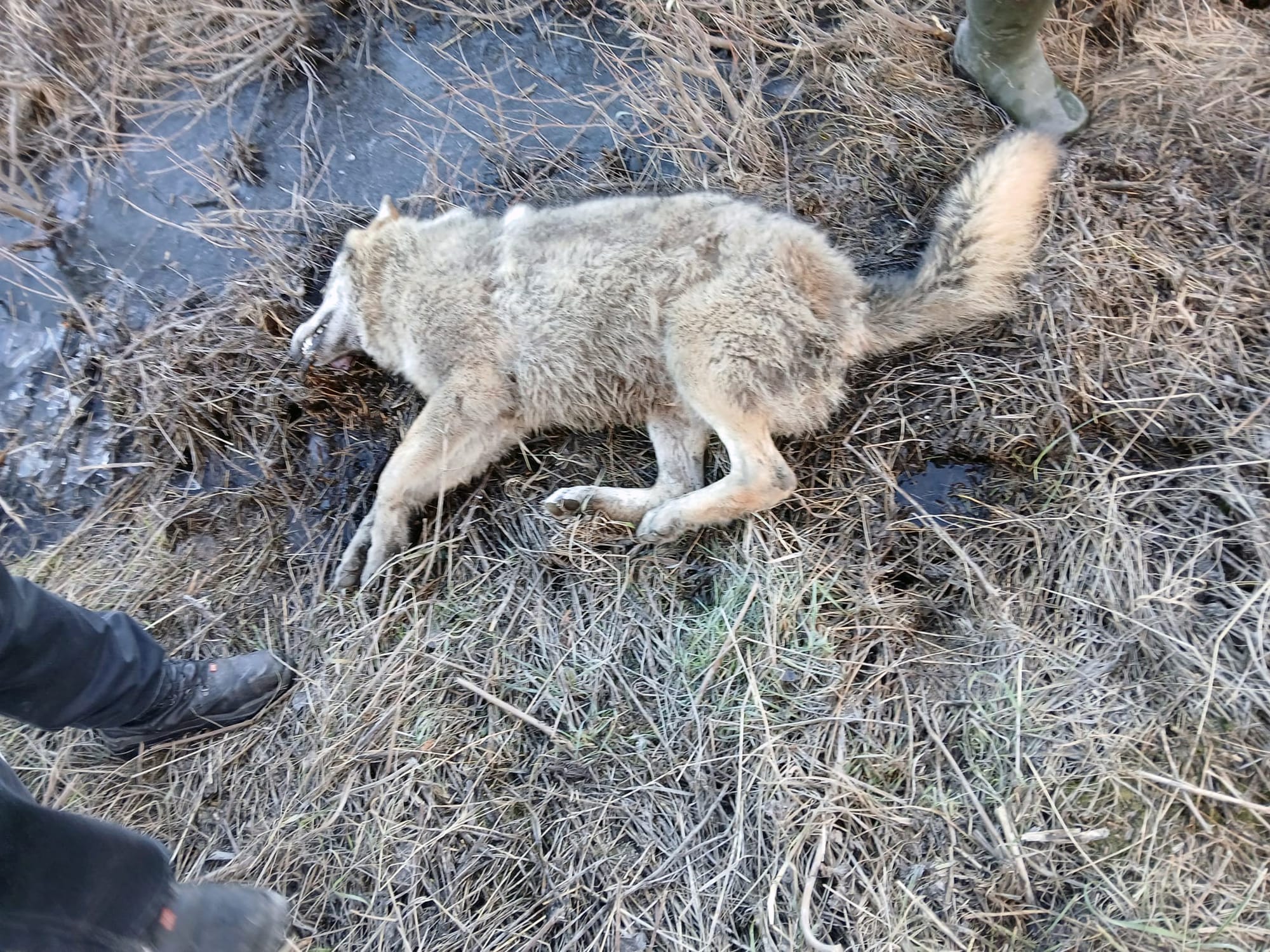 Ovatko suden päivät luetut ja onko uhka todellinen vai median luoma ...