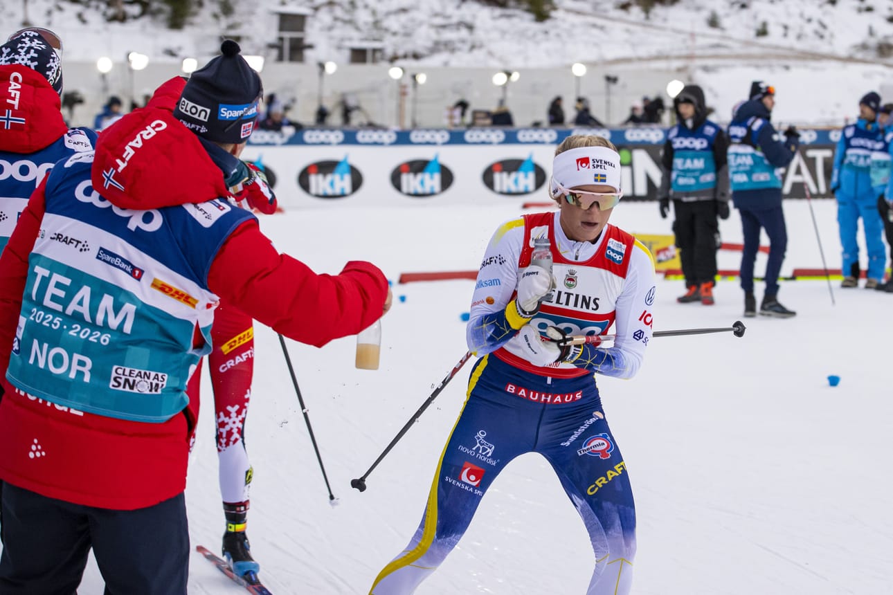 Mankinen ja Haarma Ruka Nordic Oy:n hallitukseen – mäkivalmentaja ...