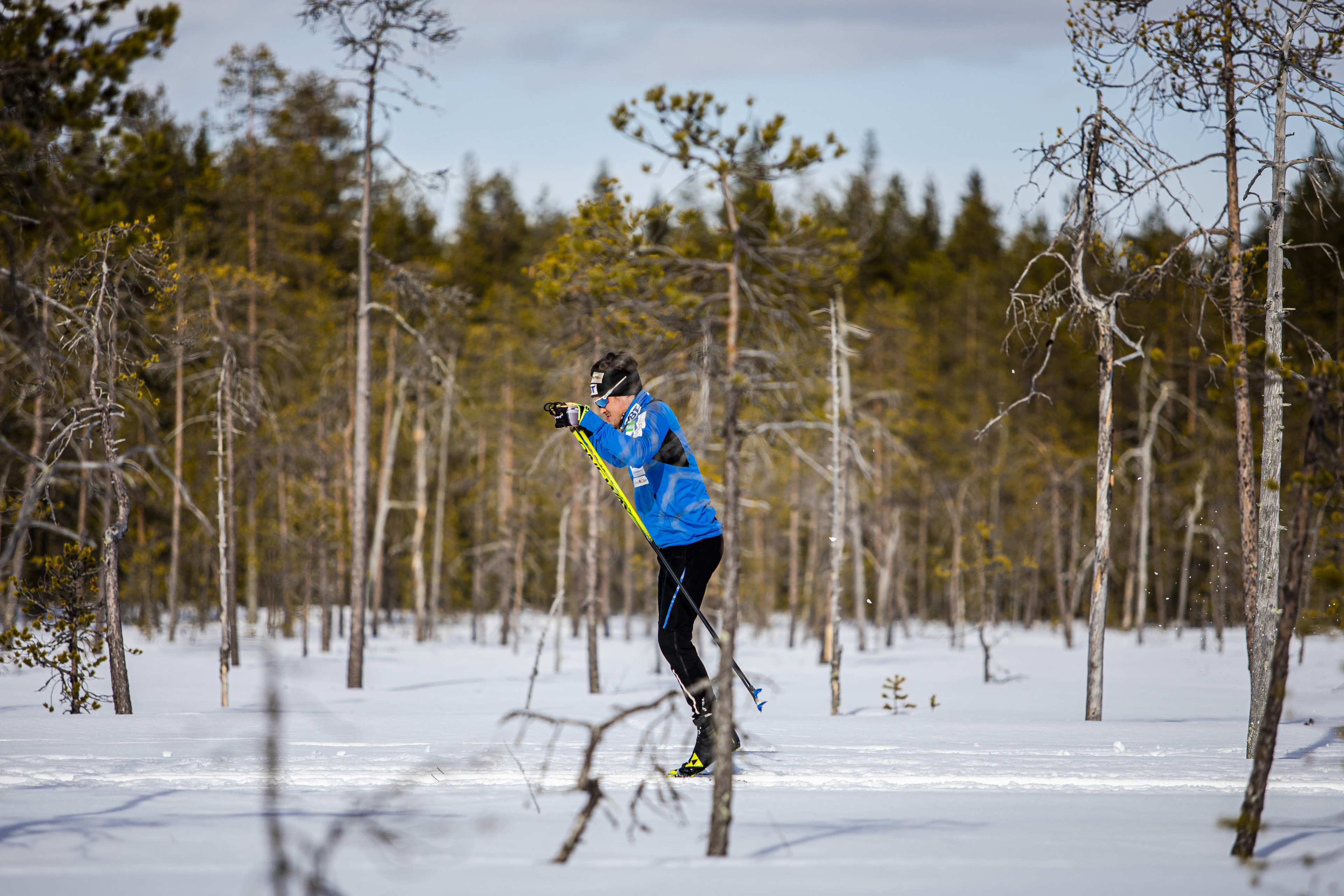 "Kovan työmoraalin Lapin hullu etsii töitä" – Ari Luusua yllätti ...