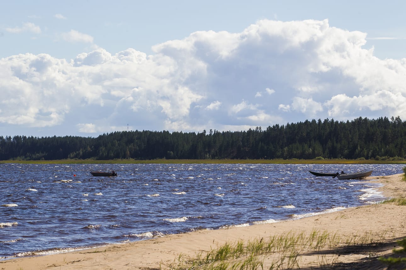 Oululainen Olli Airaksinen syyttää Kainuun Voimaa ahneeksi: sähkön ...