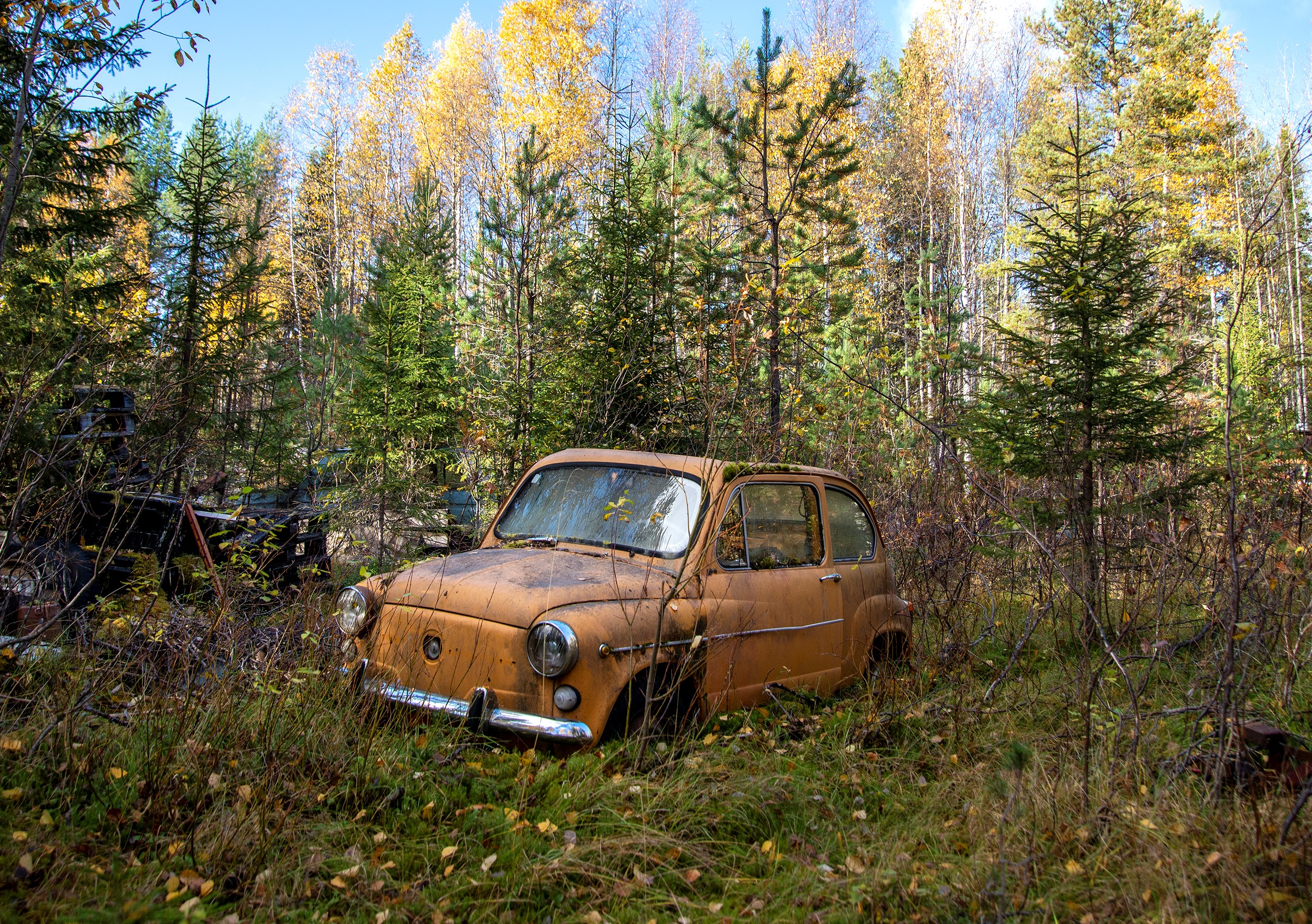 Miten hyvin tunnet vanhat autot? Nämä 11 metsään hylättyä autoa ...