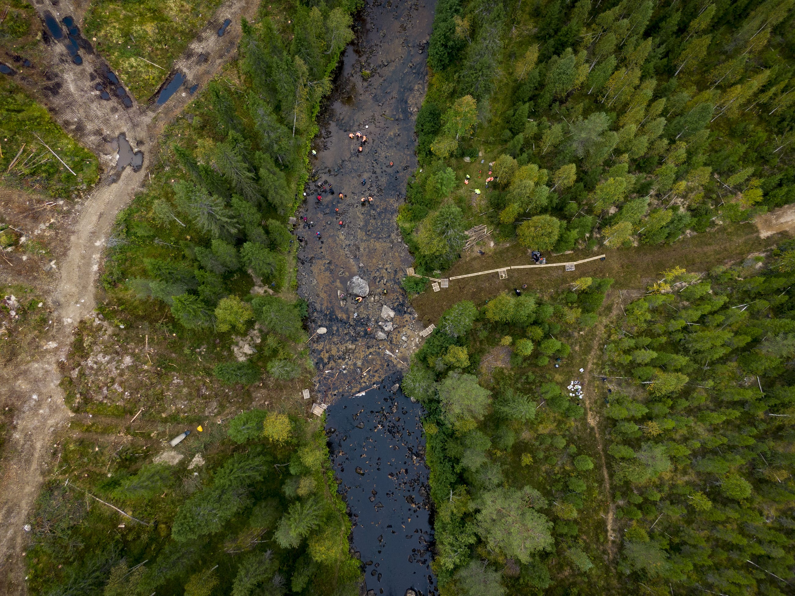 Stora Enso rahoittaa jokihelmisimpukoiden suojelua yli miljoonalla ...
