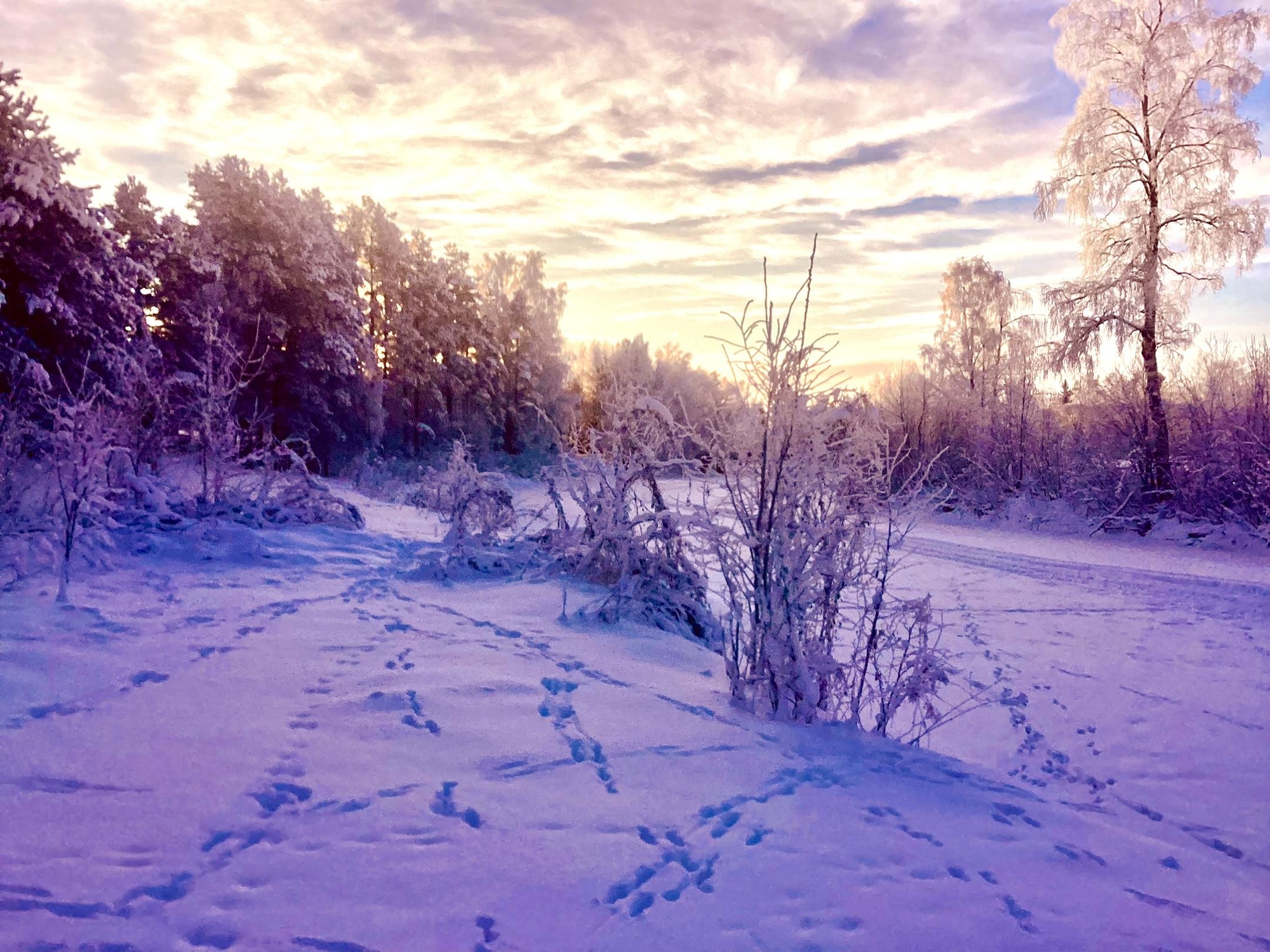 Helmikuun 2025 lukijakuvat | Kaleva