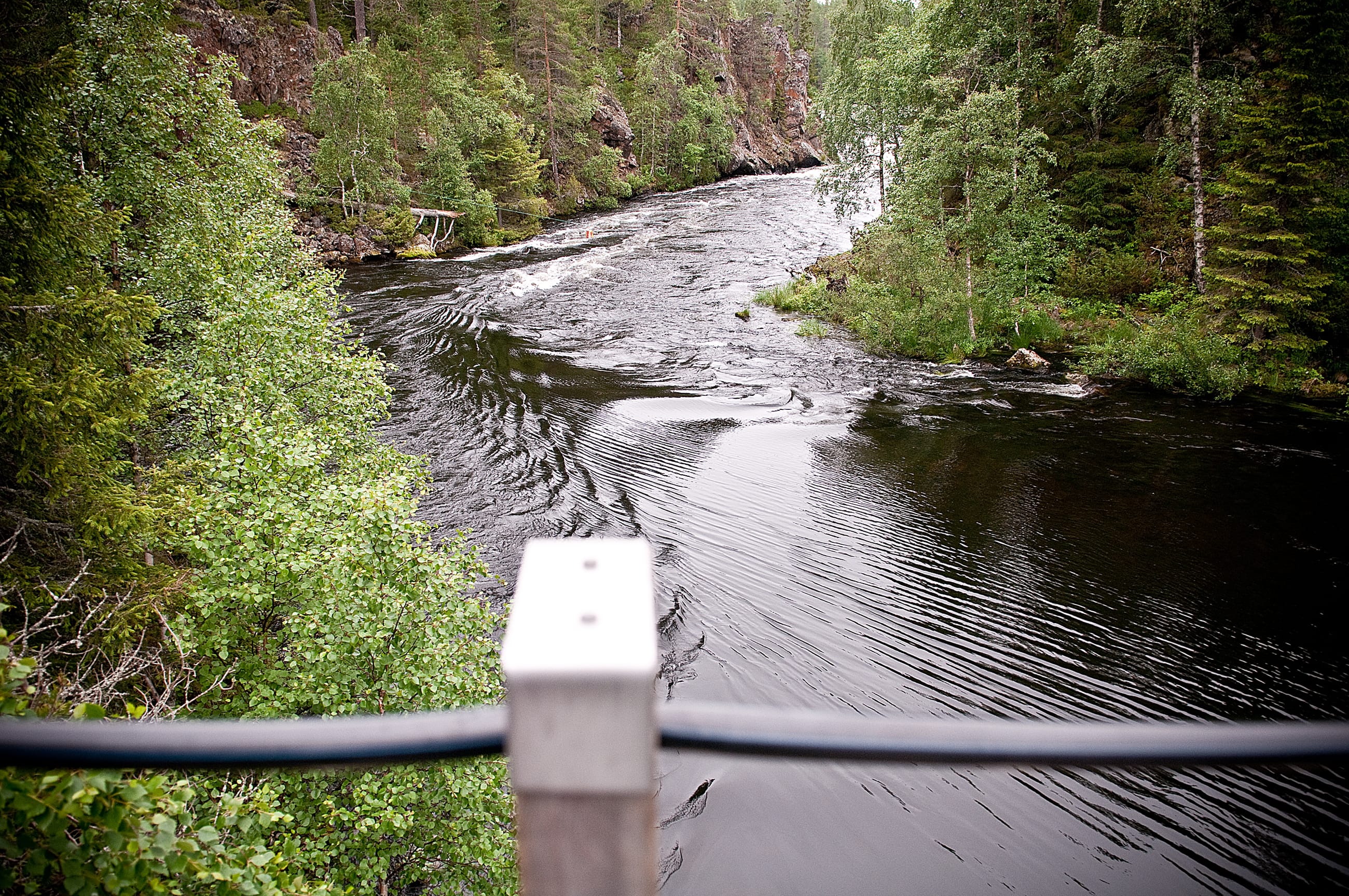 Erätaidot koetuksella – maan parhaat erävaeltajat kisaavat Suomen ...