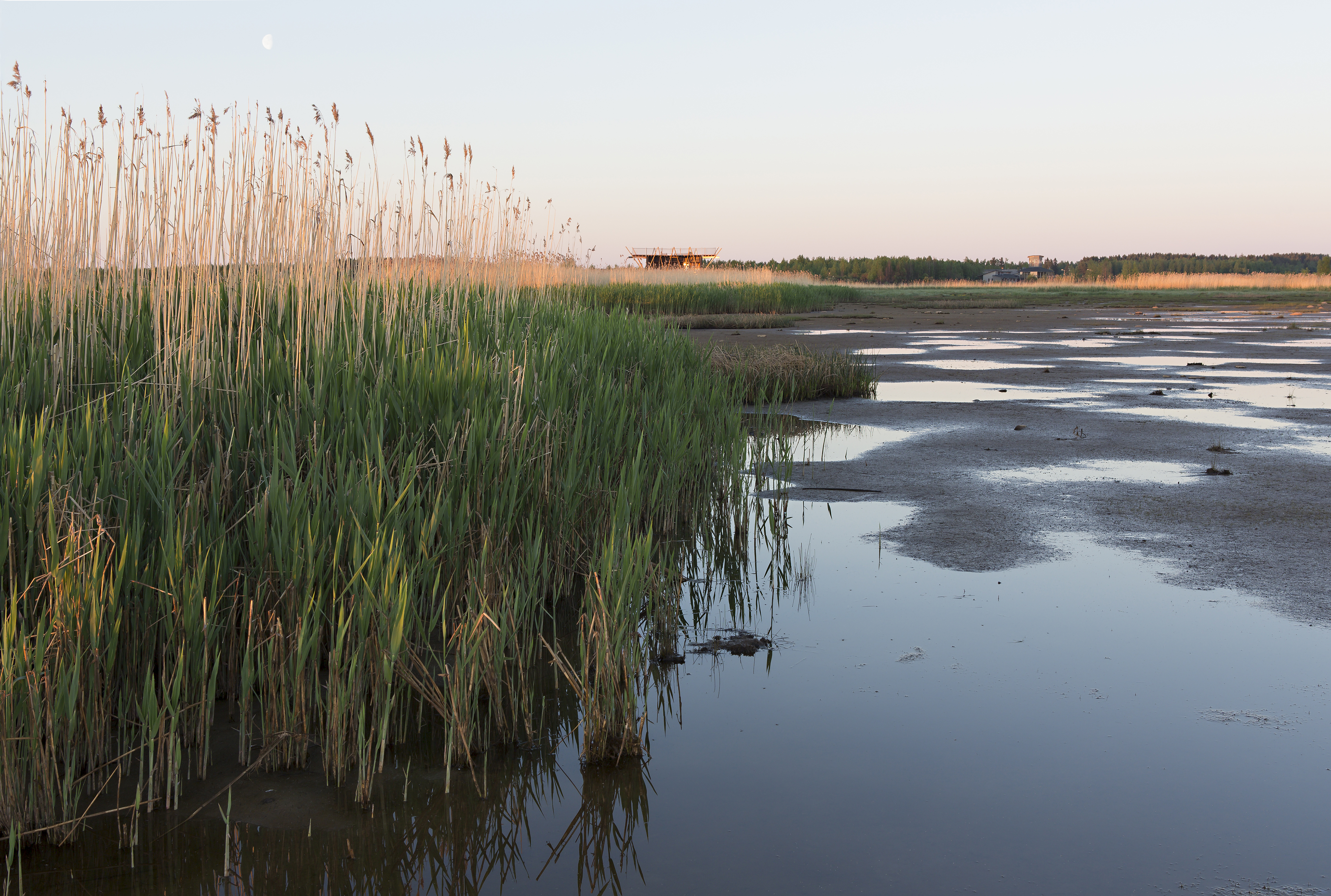 Tunnetko tarinan Limmistä, jonka mukaan Liminka sai kansantarussa ...
