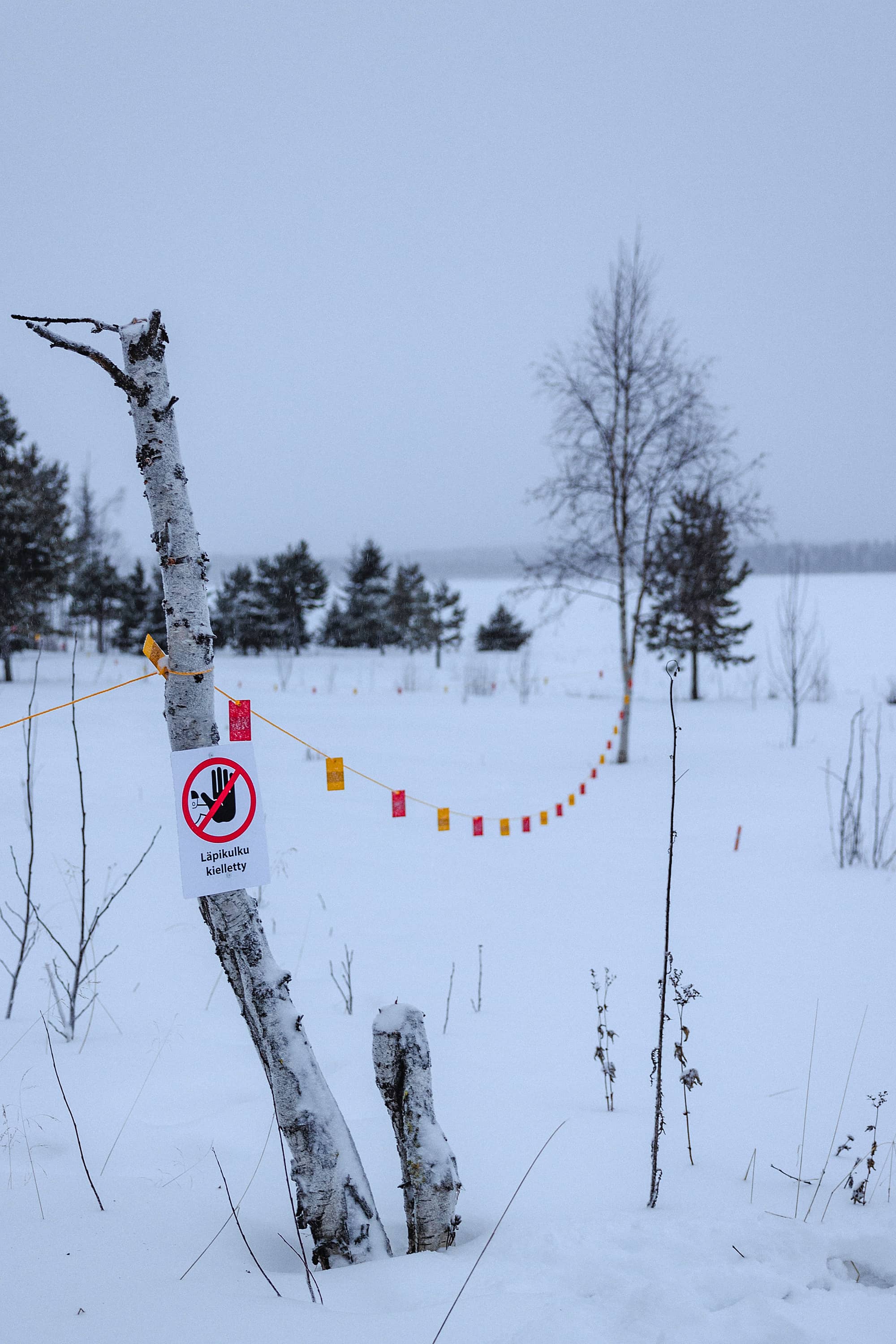 Levillä asuvan Sanna-Mari Sillanpään yöunet katkeavat säännöllisesti ...