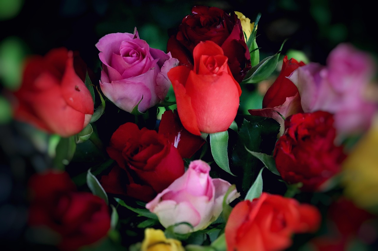 Sedusta valmistui useita kurikkalaisia | Jurvan Sanomat