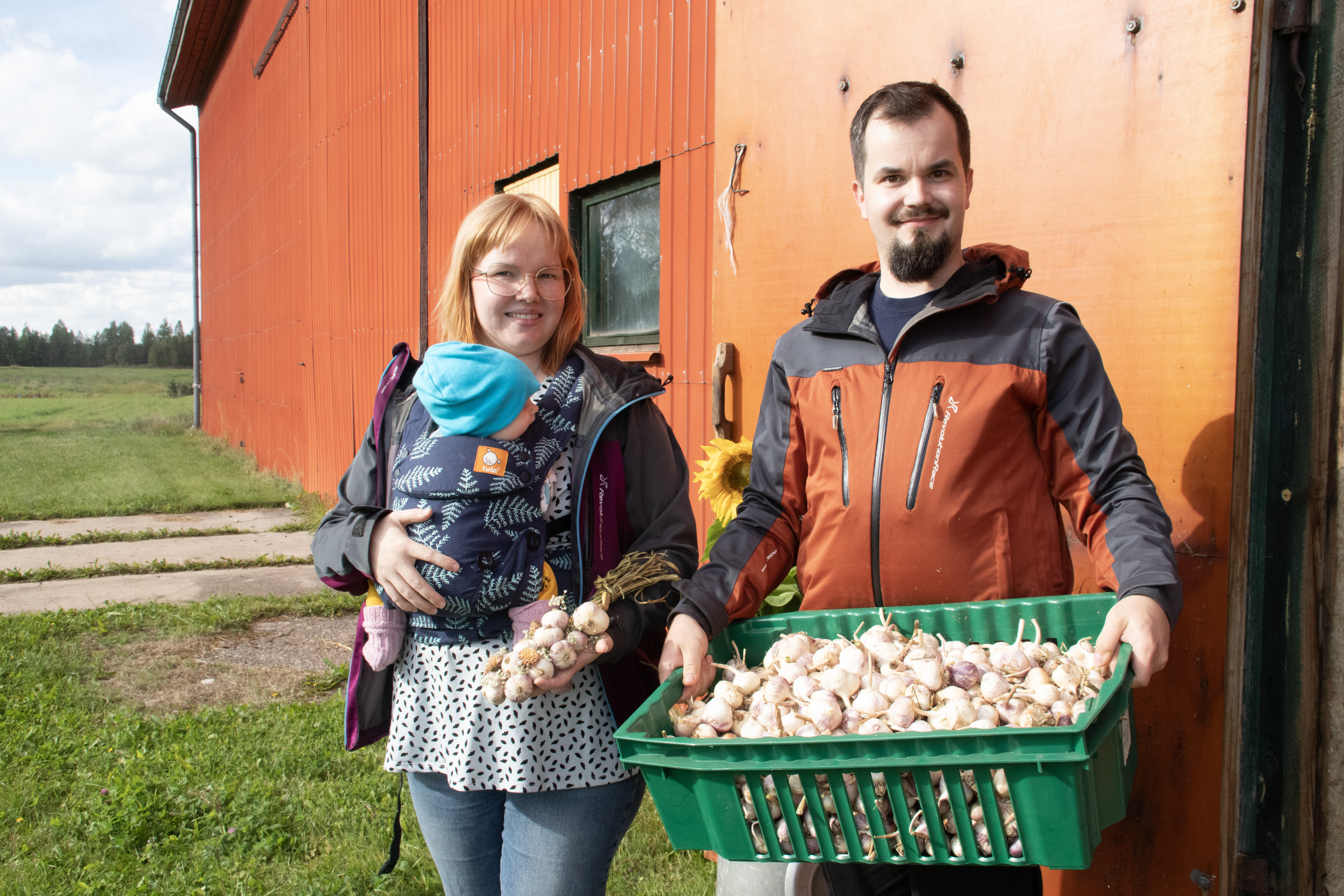 Valkosipulissa maistuu Suomen kesä – Mika Tervo on kehittänyt itse ...