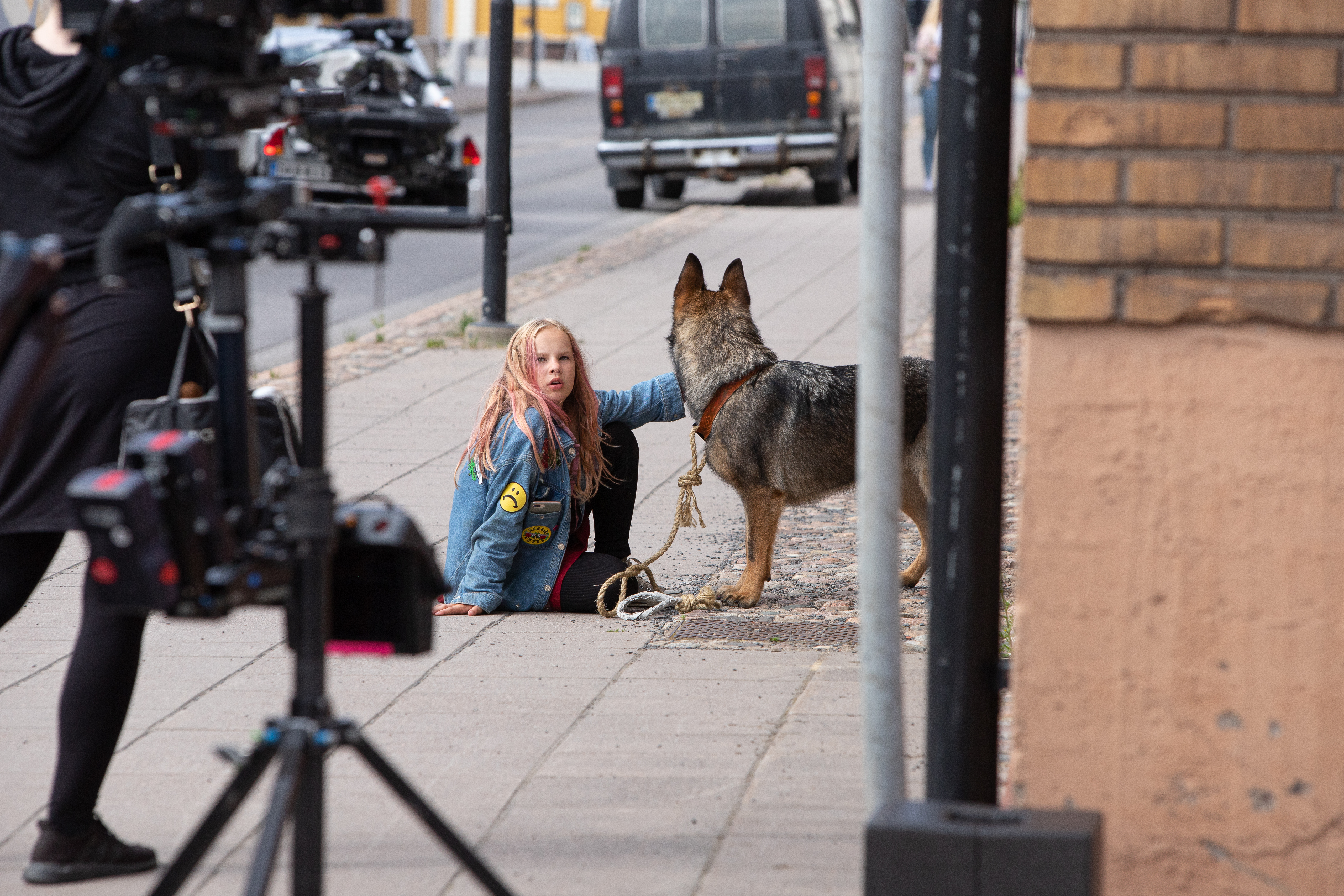 Susikoira Roi -elokuva on saamassa jatkoa – "Meidän tahtotilamme on ...
