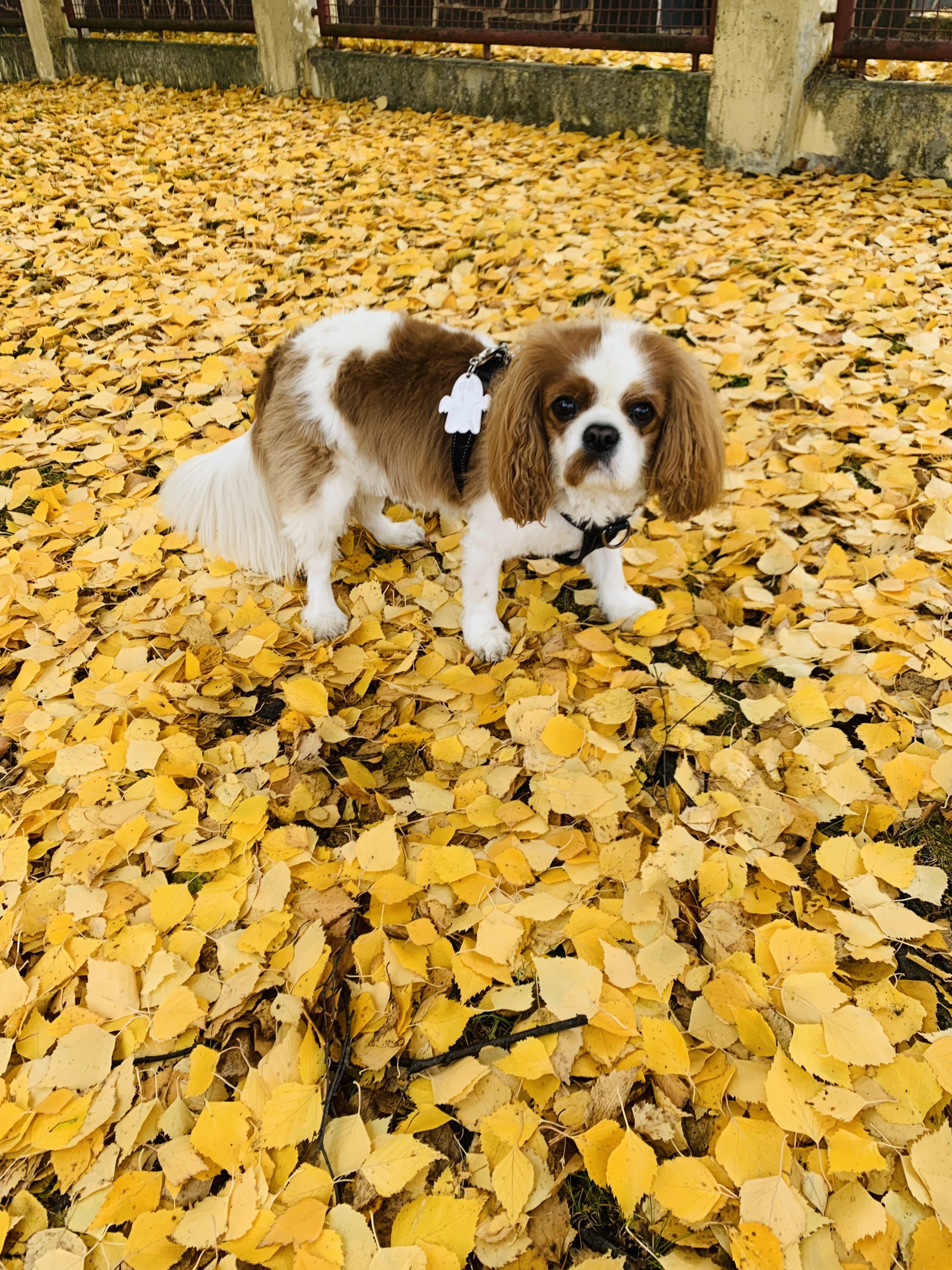 Syyskuun 2022 lukijakuvat | Kaleva