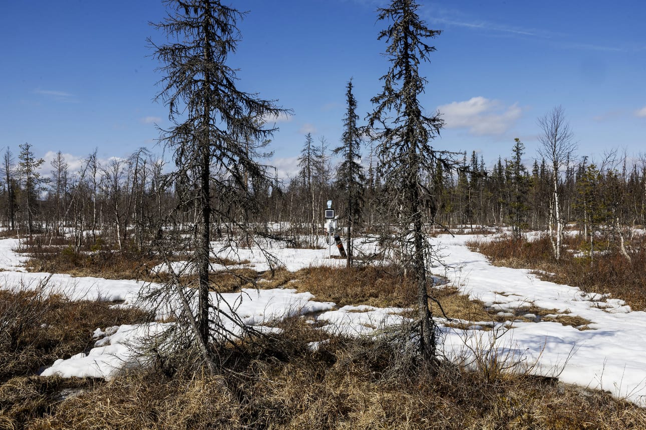 Sodankyläläisestä jänkärääseiköstä tehtiin miljardikauppa, joka voi ...