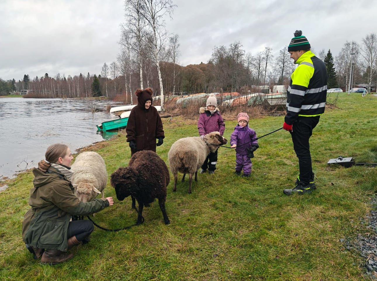 "Saakoon jokainen lintu lentää rauhassa" – Eläinten joulurauha ...