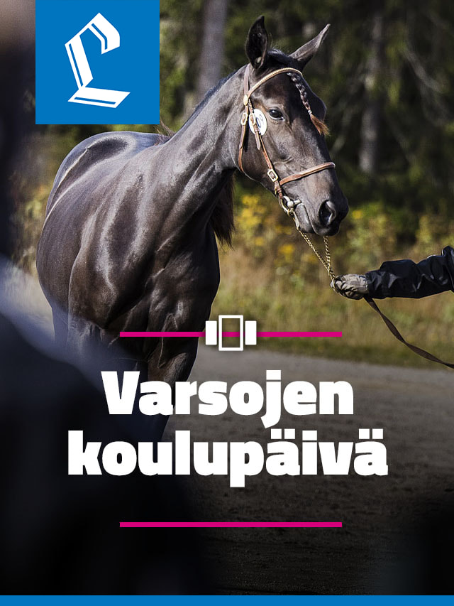 Ensin soi huuliharppu ja Muistoja Pohjolasta – sitten varsat astelivat ...