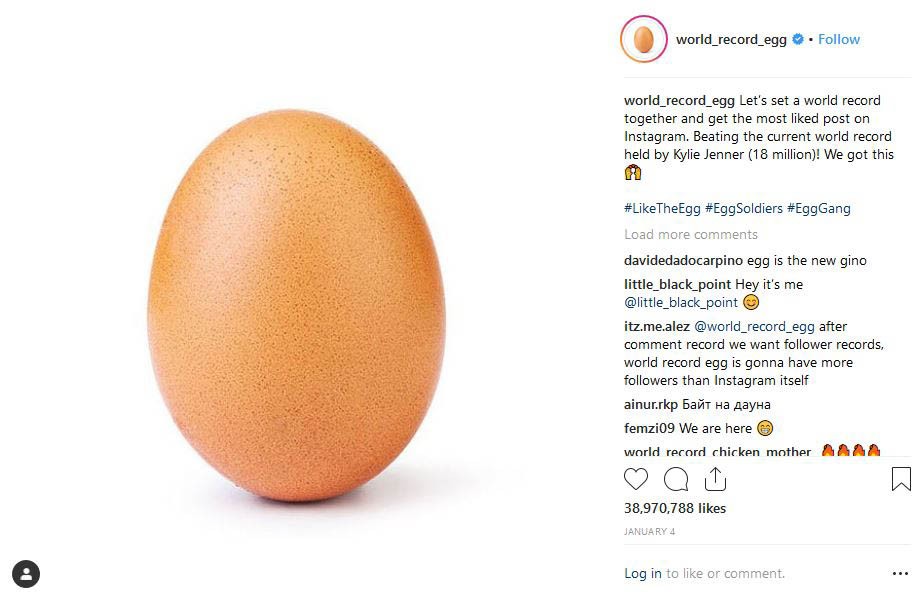 Maalaiskana Henriettan kananmuna valloittaa sosiaalisessa mediassa ...