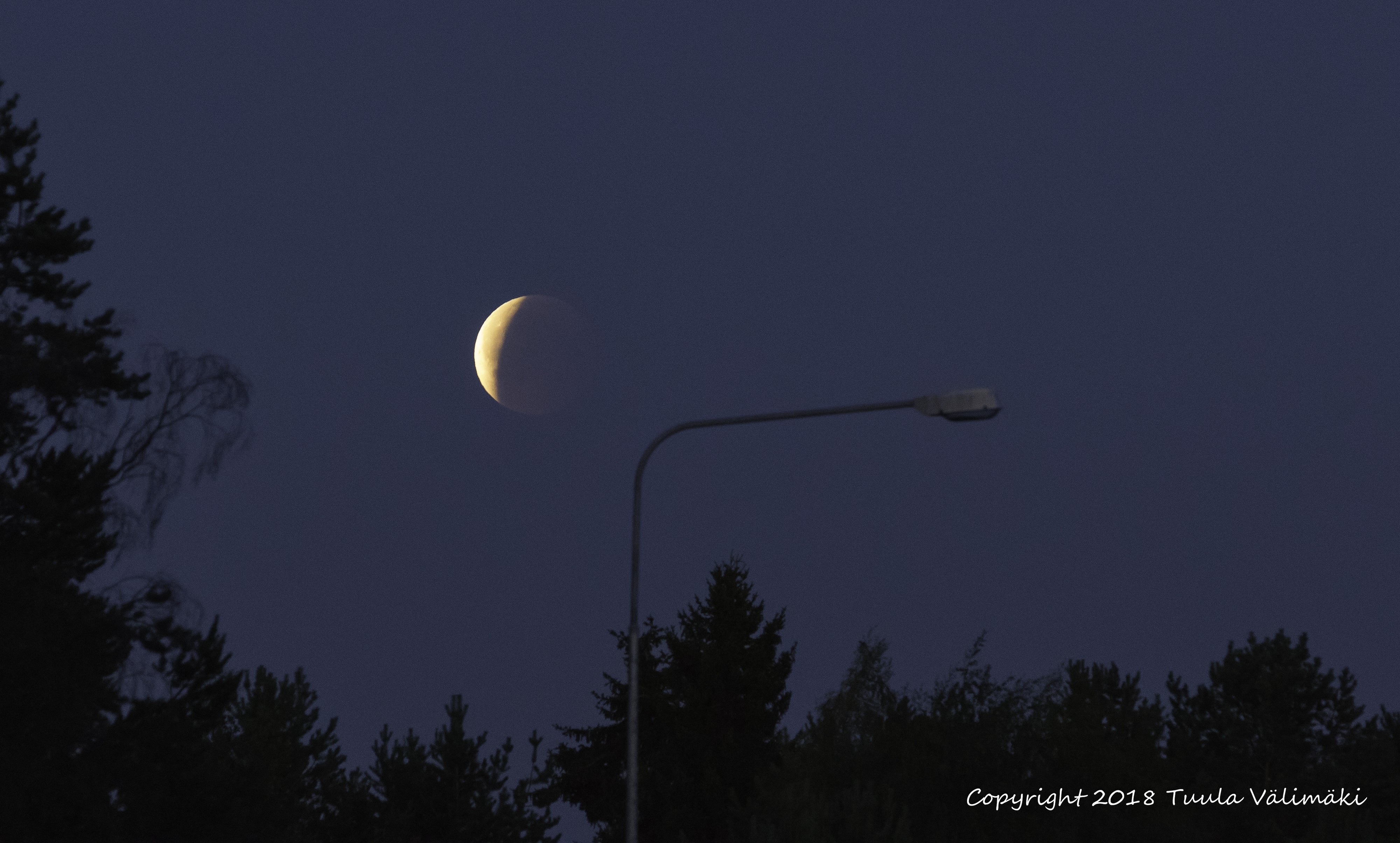 Lukijoiden kuvia kuunpimennyksestä: punainen kuu nousi taivaalle ...