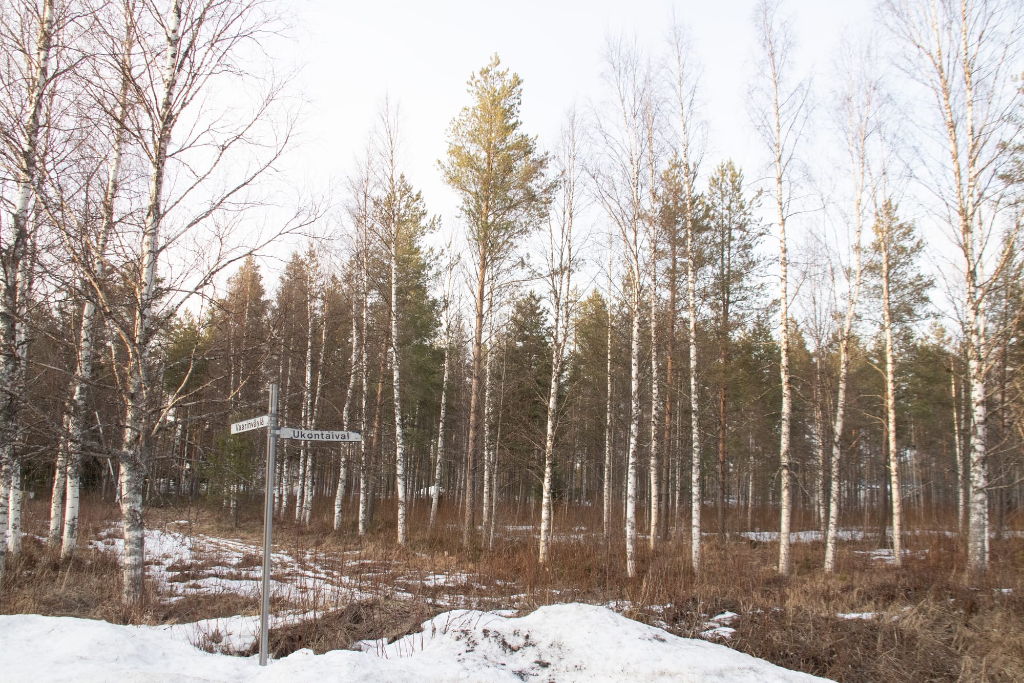 Rivitalohankkeen lainalle vihreää valoa Pyhännällä | Siikajokilaakso