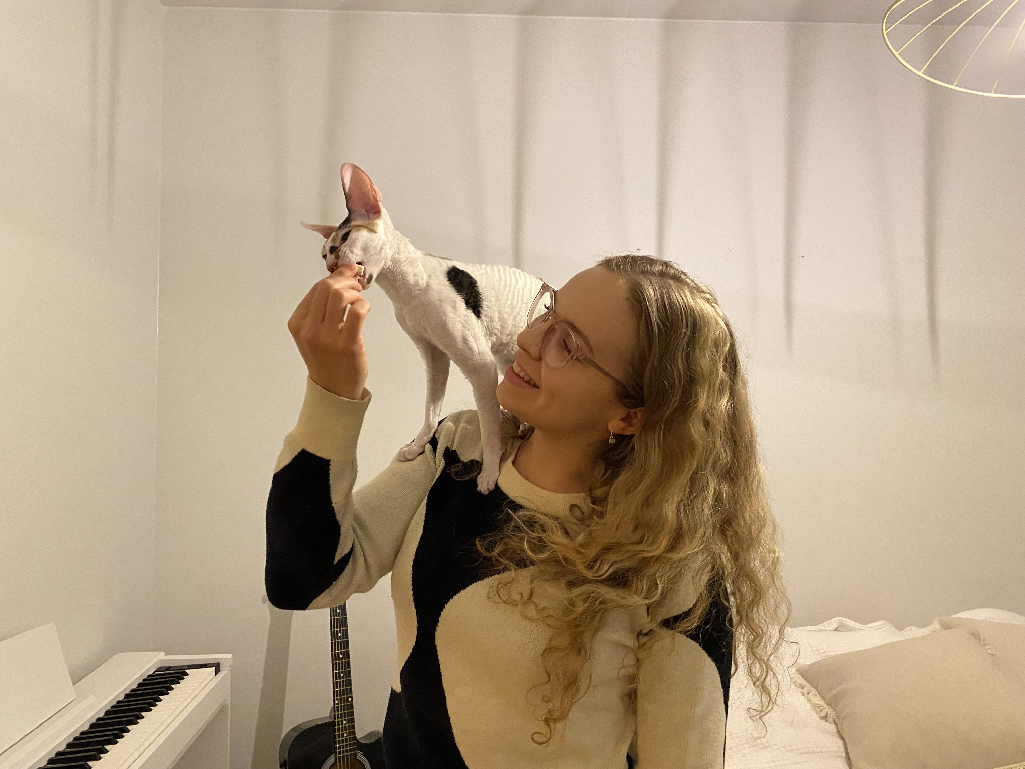 Nea Luoman Sansa valittiin maailman kauneimmaksi kissaksi – sylihoitoa ...