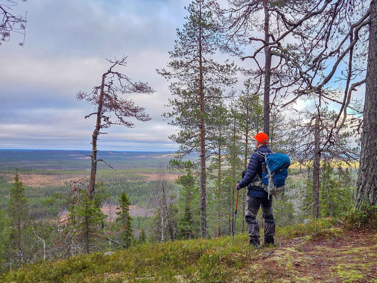 Reilut pari tuntia Oulusta on kansallispuiston tasoinen retkikohde ...