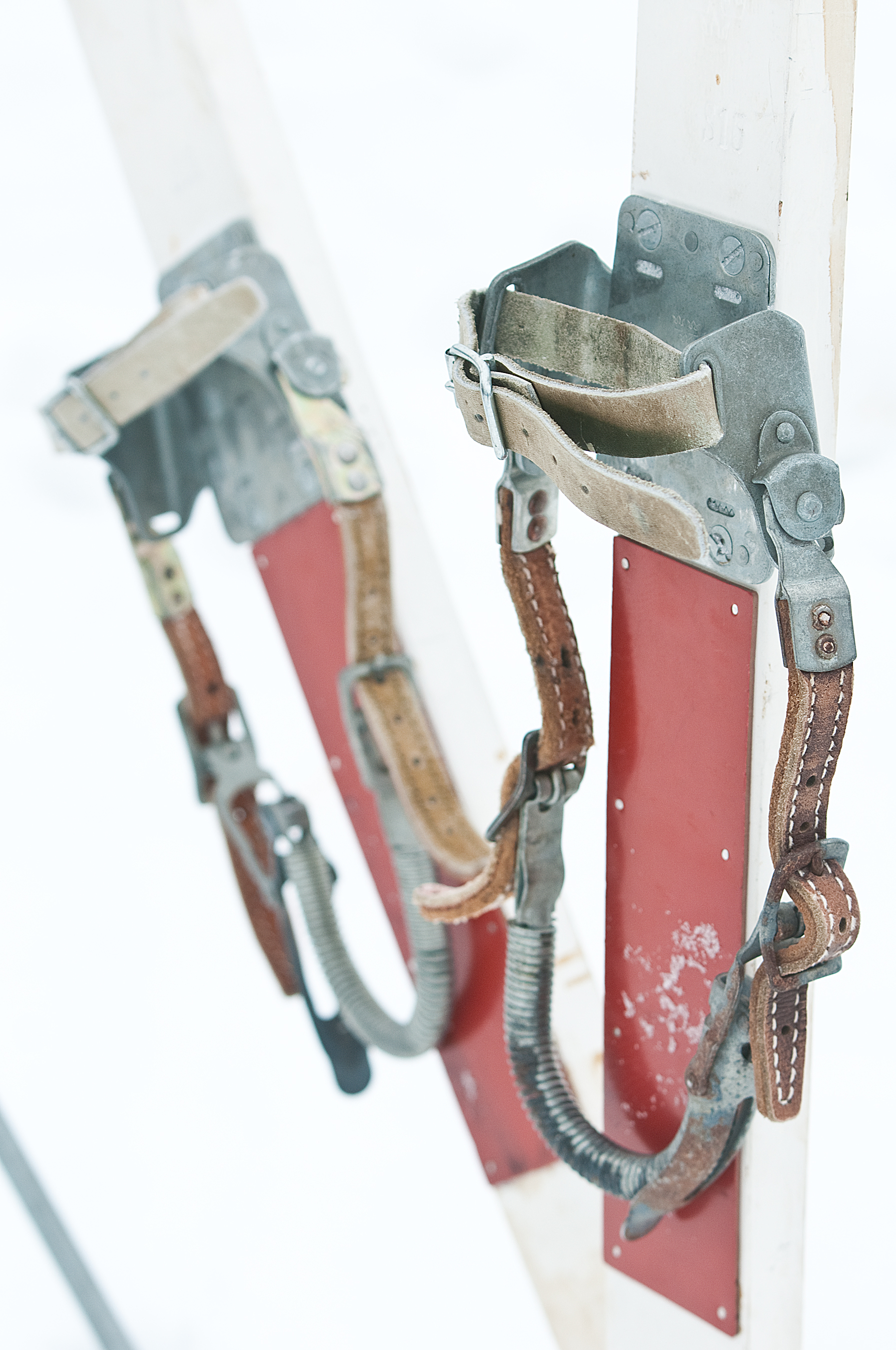 Muikkulaatikko: Rukalla on rinne harmaa mutta ei näy Heikki Harmaa | Koillissanomat